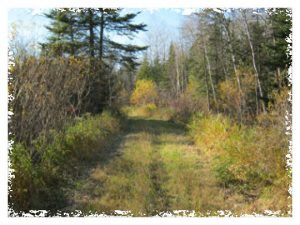 Department of Natural Resources - Red Lake Nation